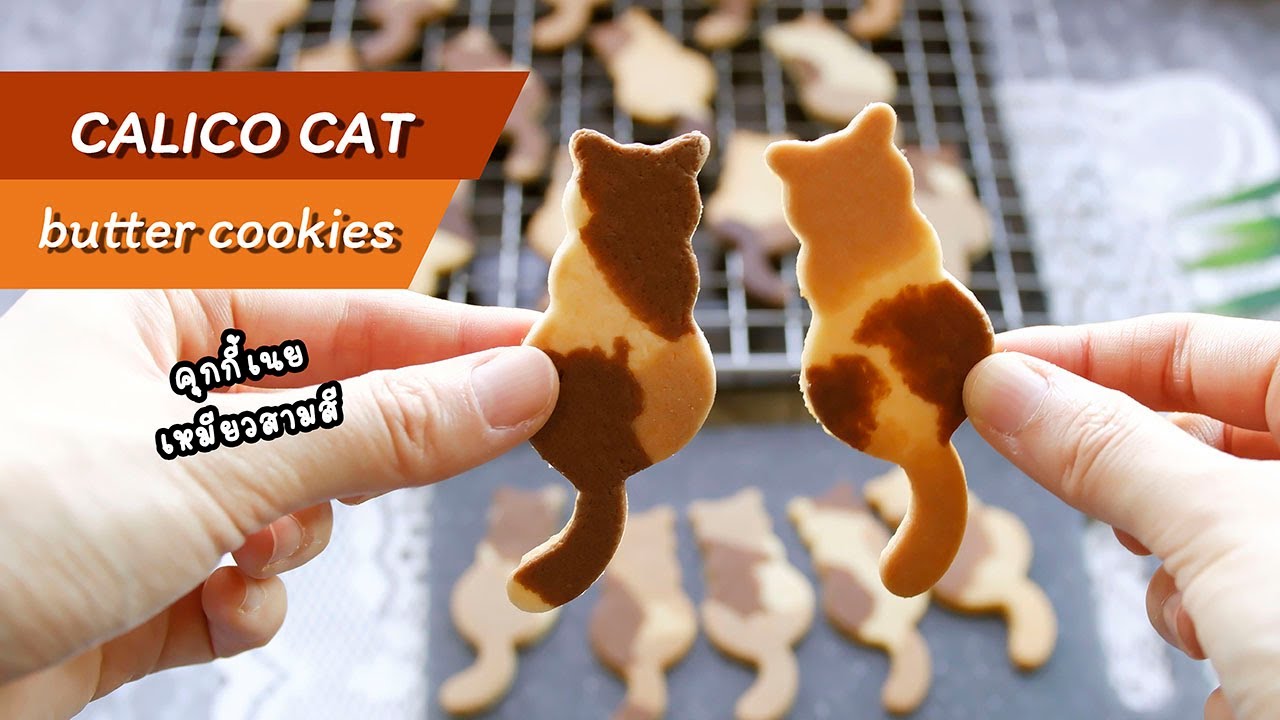 คุกกี้เนยแมวสามสี Calico Cat butter Cookies - YouTube