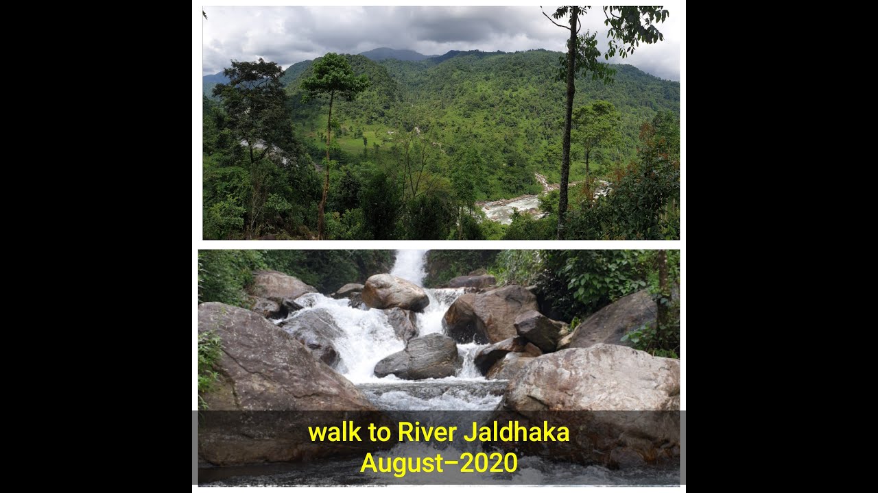Walk to River Jaldhaka - YouTube
