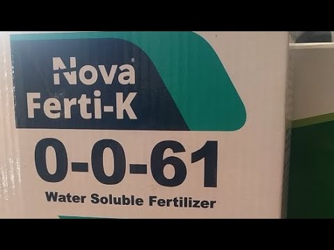 Update Lang with Ferti K ( 0-0-61) - YouTube