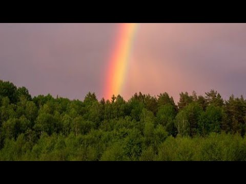 Rain videos/how to watch Rain videos/watch Rain videos - YouTube