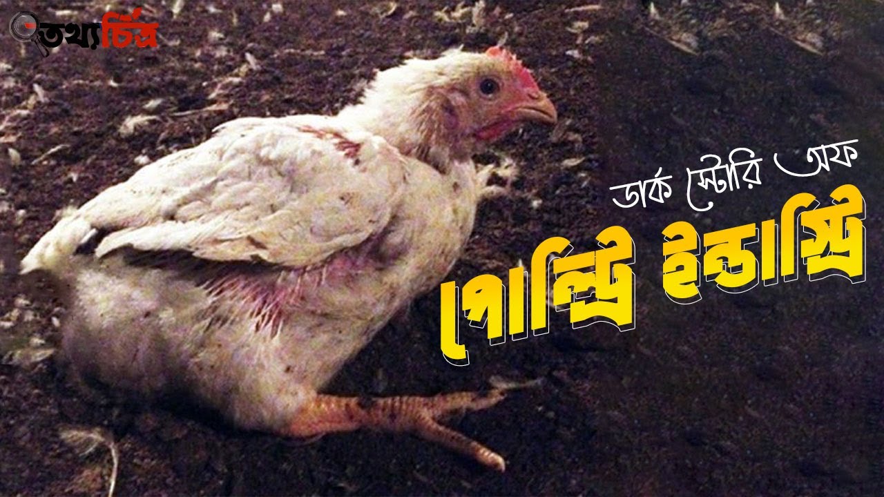 একটি নোংরা বিলিয়ন ডলার ইন্ডাস্ট্রির পেছনের গল্প ! A Complete ...