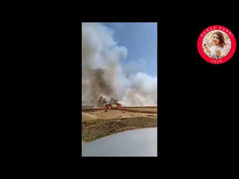 Silvan'da biçerdöverden sıçrayan kıvılcım 10 bin dönümlük ekili alanı küle çevirdi.