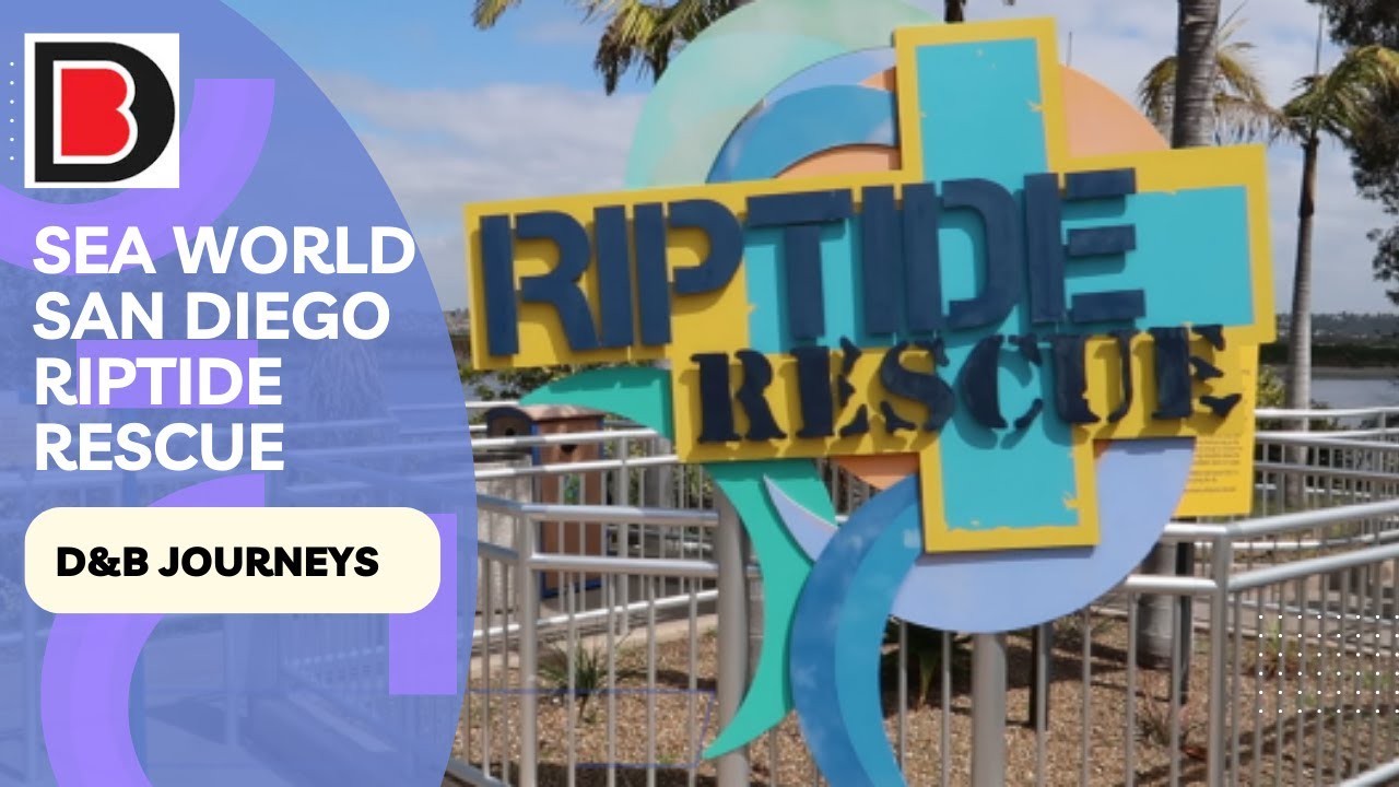 Sea World San Diego Riptide Rescue | Full Cycle | March 2023 - YouTube
