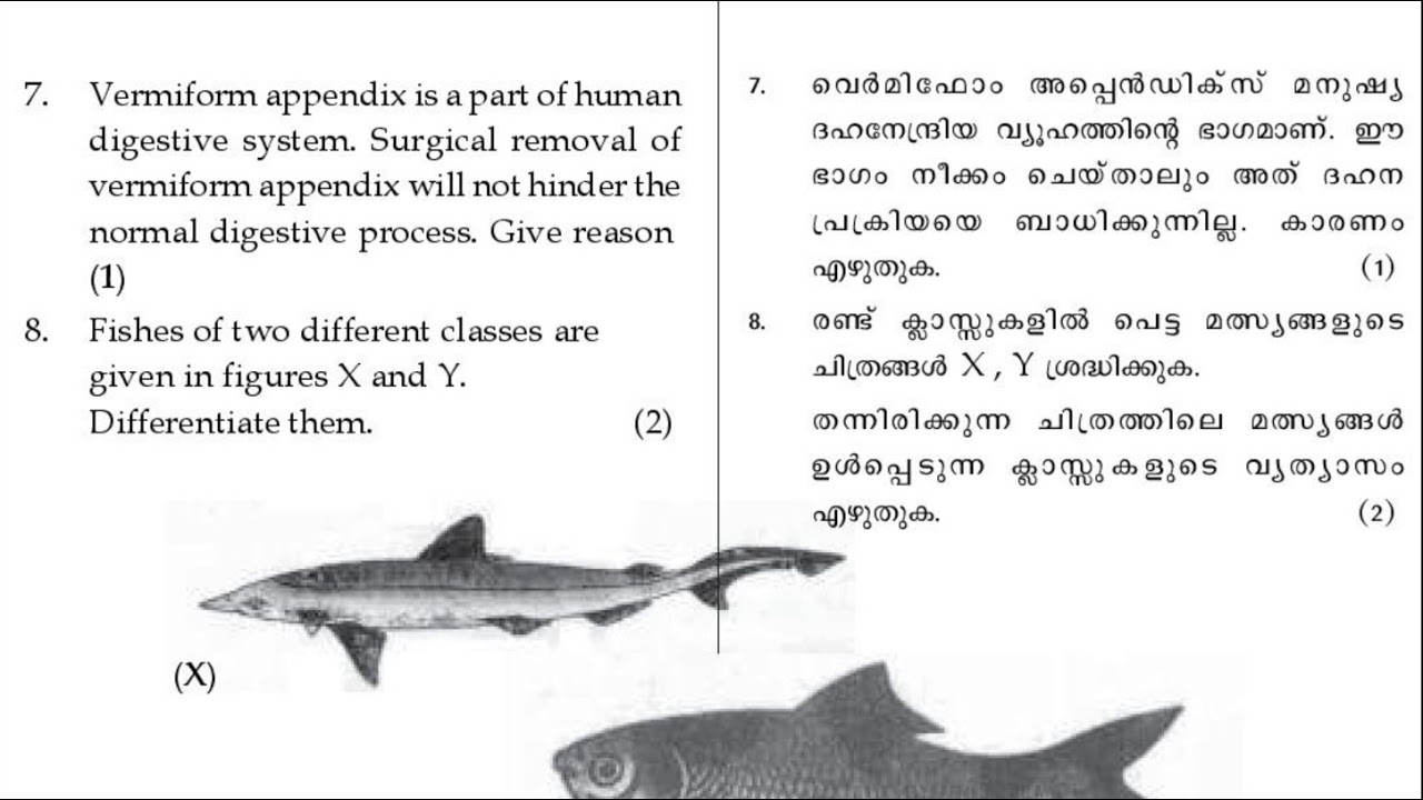 PLUS 1 BIOLOGY ANNUAL EXAM KERALA SYLLABUS QUESTION PAPER YouTube plus-1-biology-annual-exam-kerala-syllabus-question-paper-youtube