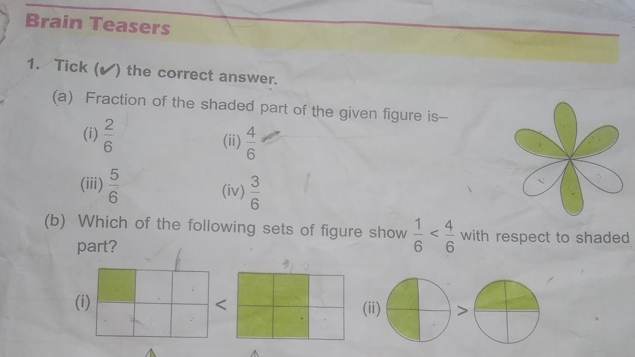 Dav Public School Class 3 Math || Unit 11 Brain Teasers ||Fraction ...