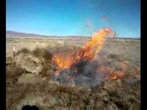 Burning Tumbleweeds.mp4 - YouTube