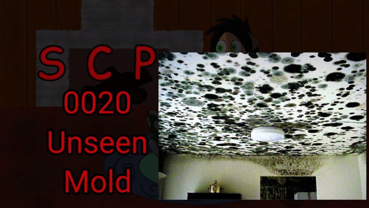 Neshae Reads SCP - 0020 Unseen Mold - YouTube