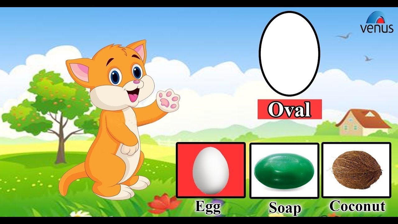 226 Discovering Shapes Oval Kids Educational Video - YouTube