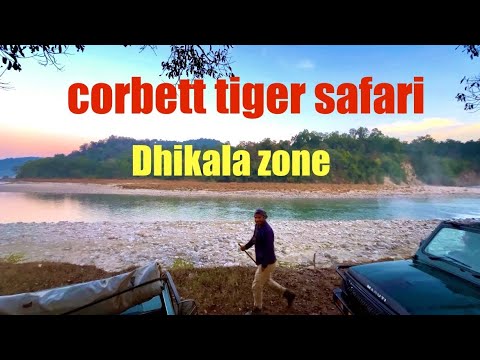 Jim Corbett National Park | jungle Safari | Dhikala zone | 4k video ...