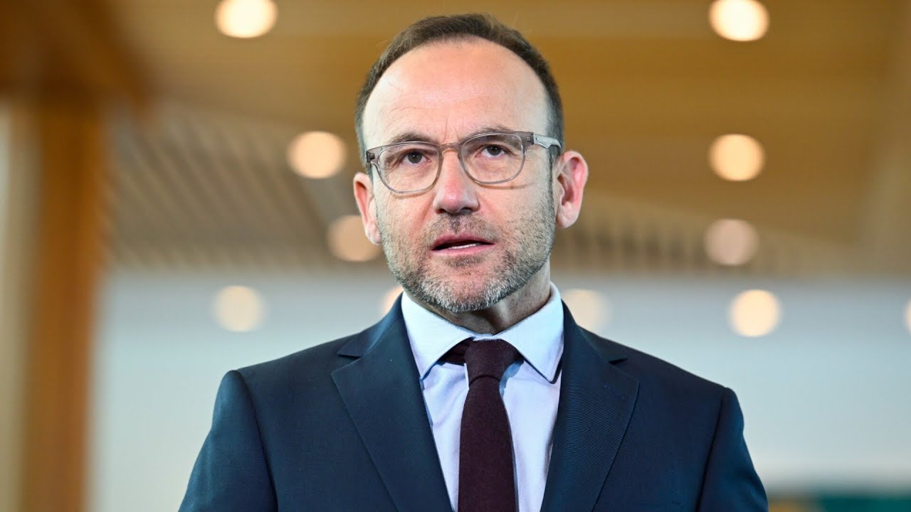 ‘Big shoes to fill’: David Shoebridge on the next leader of the Greens - YouTube