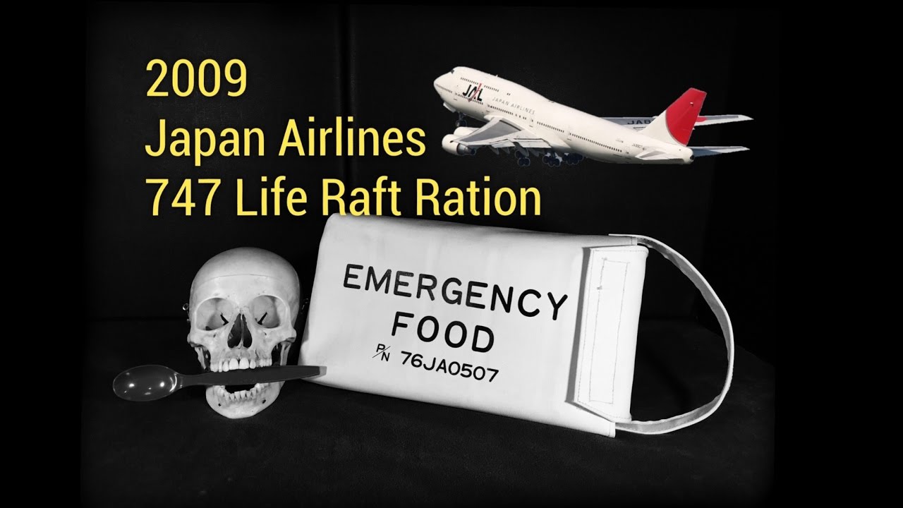 RARE 2009 Japan Airlines 747 Life-Raft Emergency Food Ration--Aircraft ...