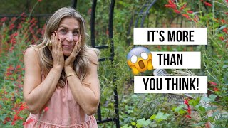 How Much Money You Can Make as a Garden Consultant
