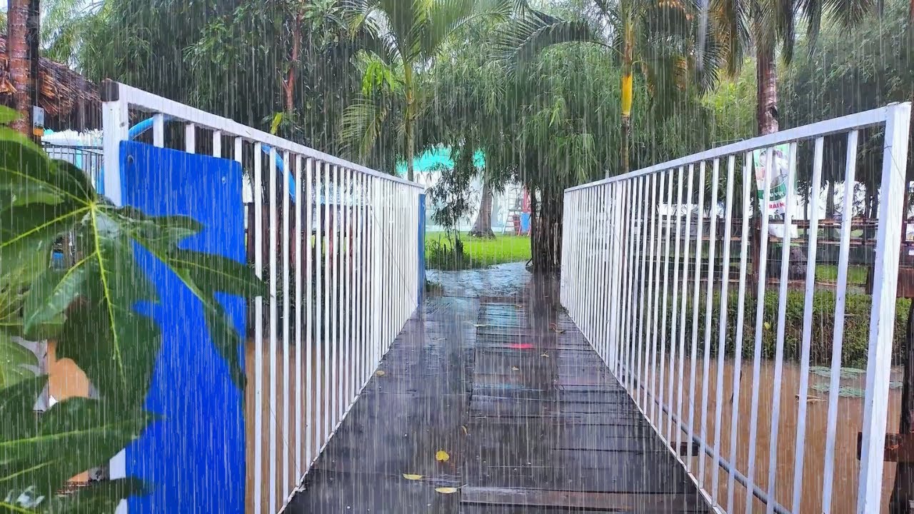 The sound of loud showers on the small bridge - ASMR white noise helps ...