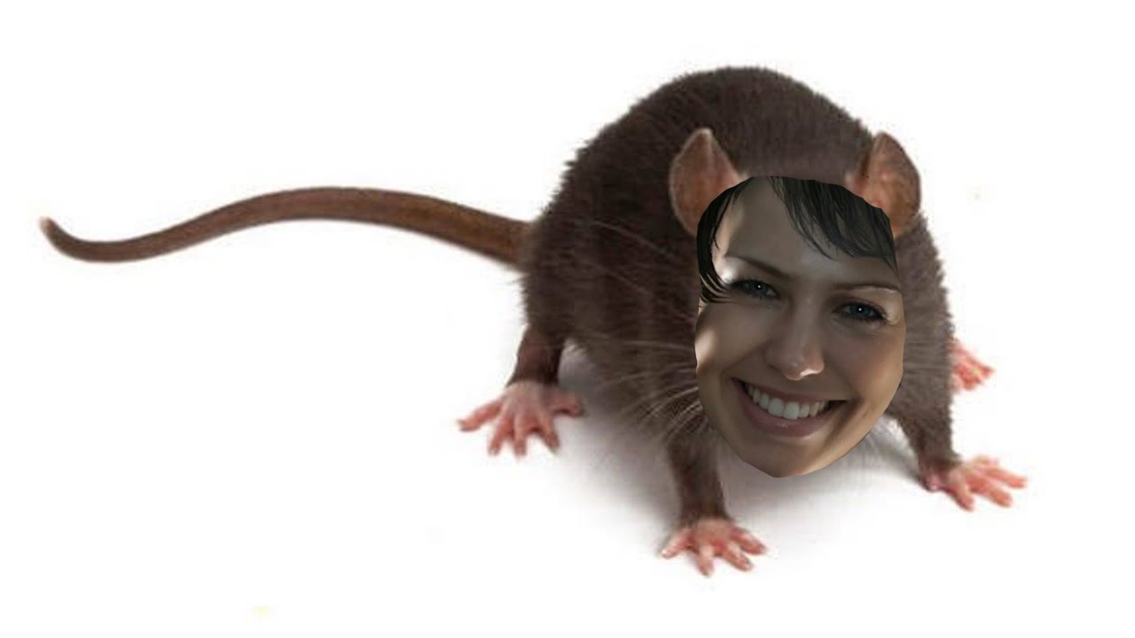 EventHorizon the ultimate rat(EW/AWH/Quiet/Macro/rage quit) - YouTube