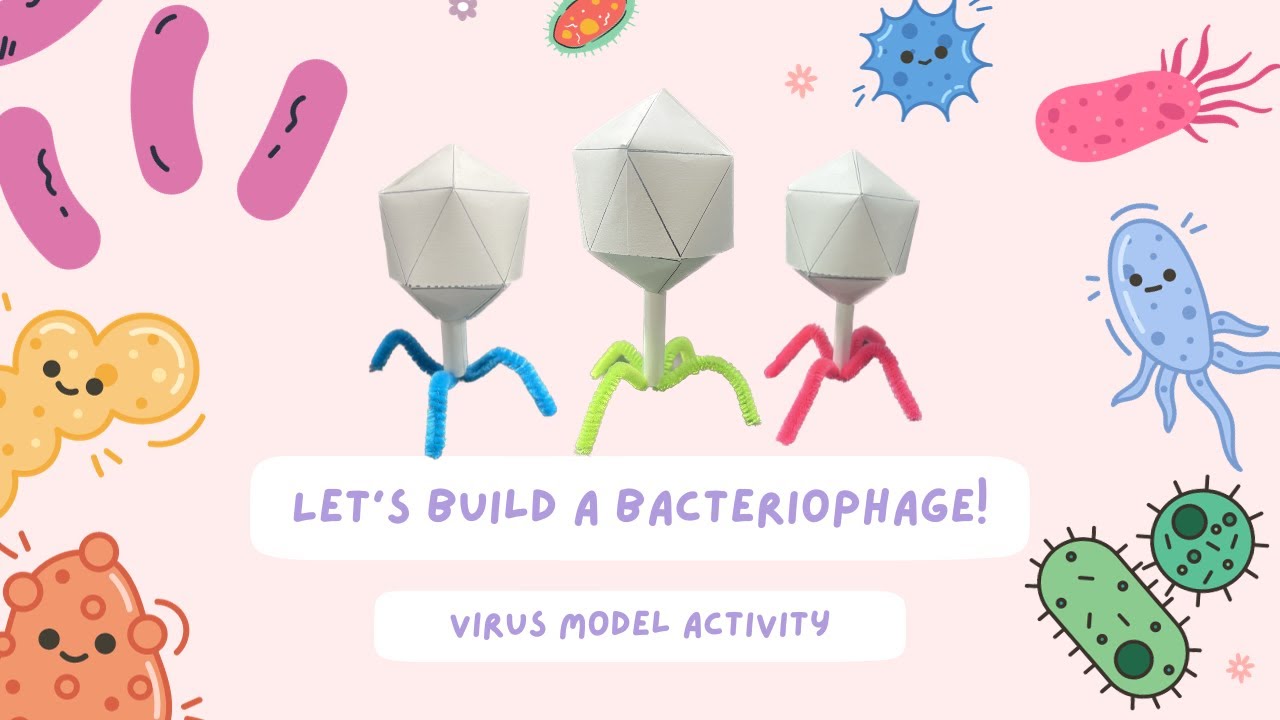Let's Build a Bacteriophage Model! - YouTube