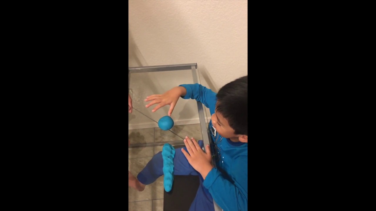 piaget's conservation task - YouTube