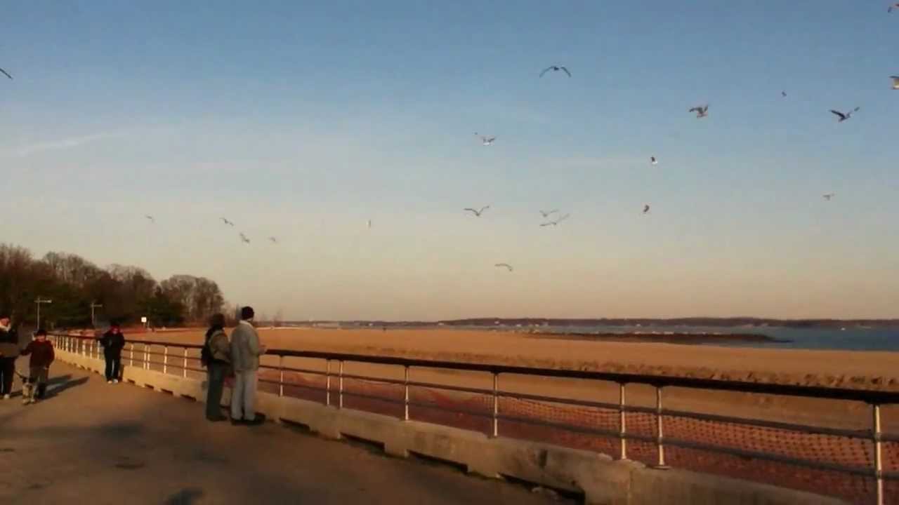 Orchard Beach, Riviera of the Bronx - YouTube