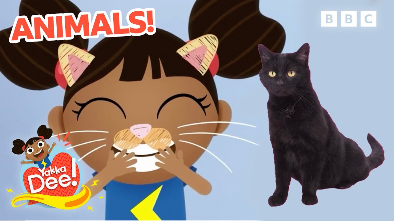 🔴LIVE: Animals with Dee! | Can you say Lion, Snail, Fish and more ...