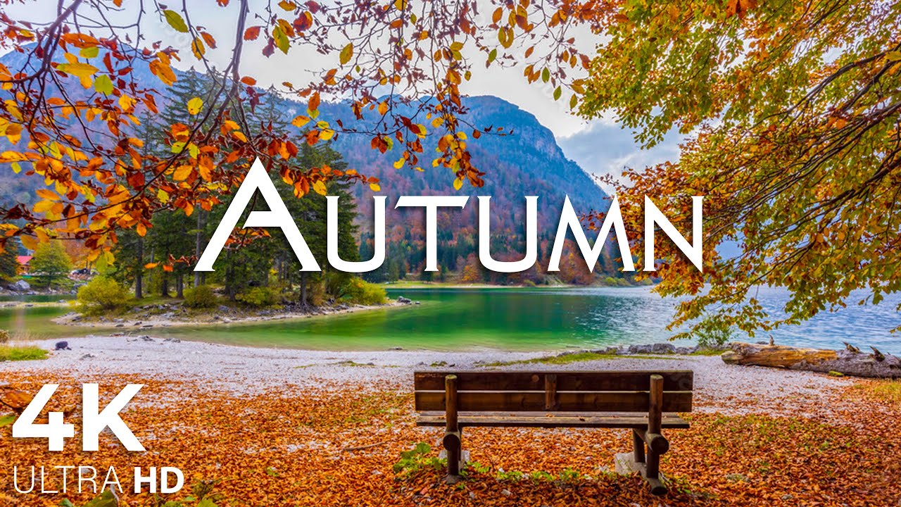 Enchanting Autumn Forests with Beautiful Piano Music🍁4K Autumn Ambience ...