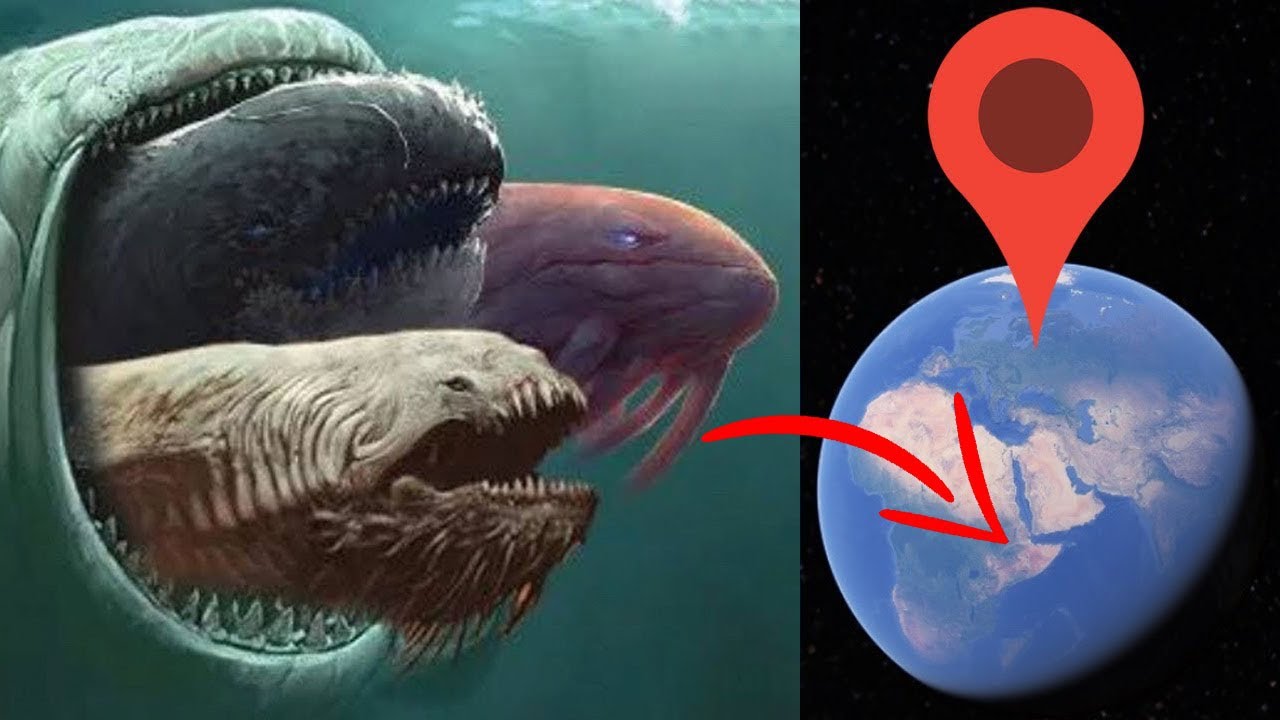 Bloop, Megalodon, Blue Whale, Shark, Giant Squid In Real Life on Google ...