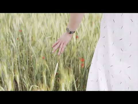 Nature's beauty: A girl's stroll through the flower fields