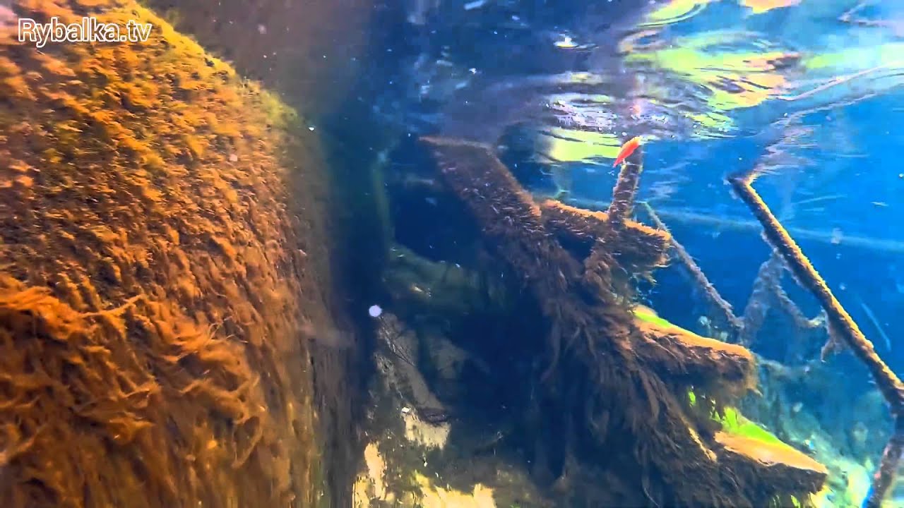 Воблер ZipBaits Orbit Underwater Lure Action1 - YouTube