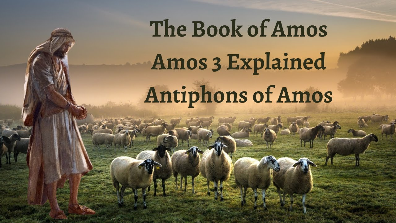 Amos 3 Antiphons of Amos | Amos 3 Meaning - YouTube