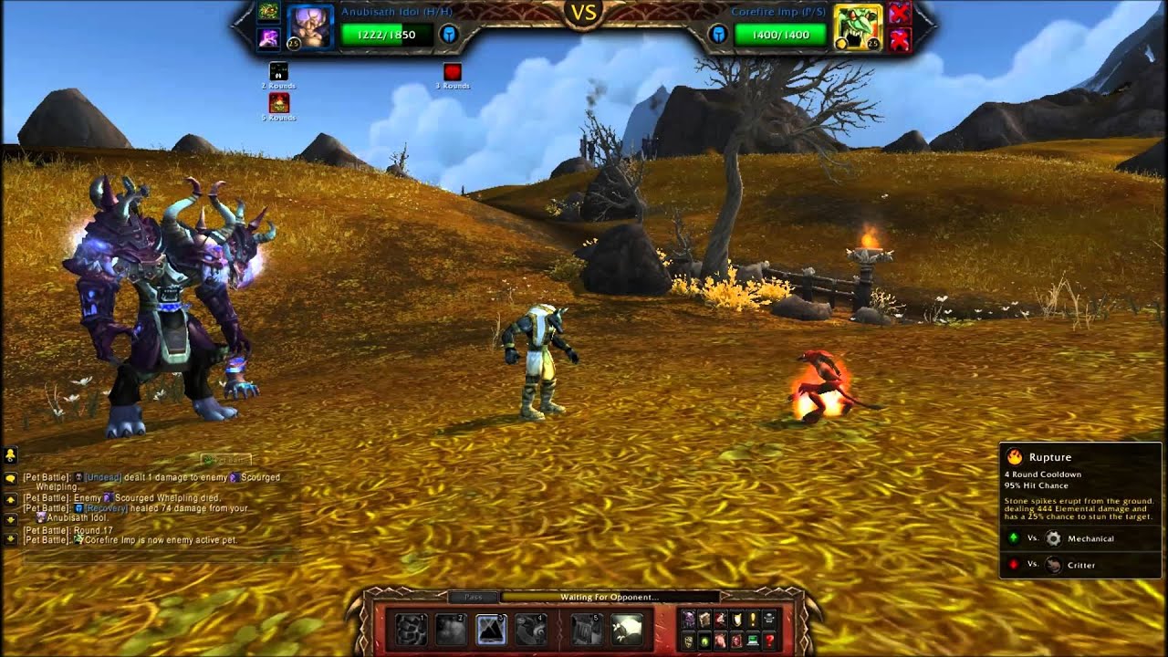 WoW PVP Pet Battles - Crawling Claw, Anubisath Idol and Blossoming ...