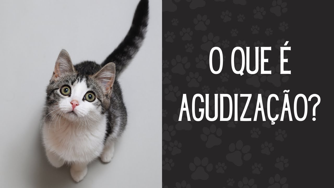 O que é o Paciente ter uma Agudização? - YouTube