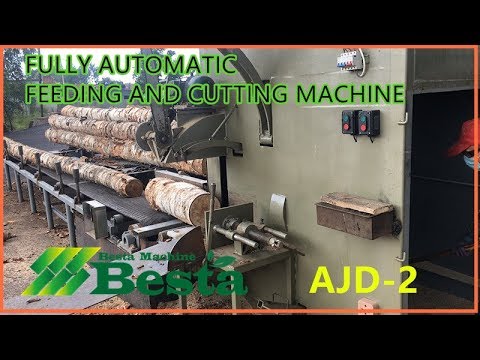 Fully Automatic Wood Feeding and Cutting Machine (BESTA) - YouTube