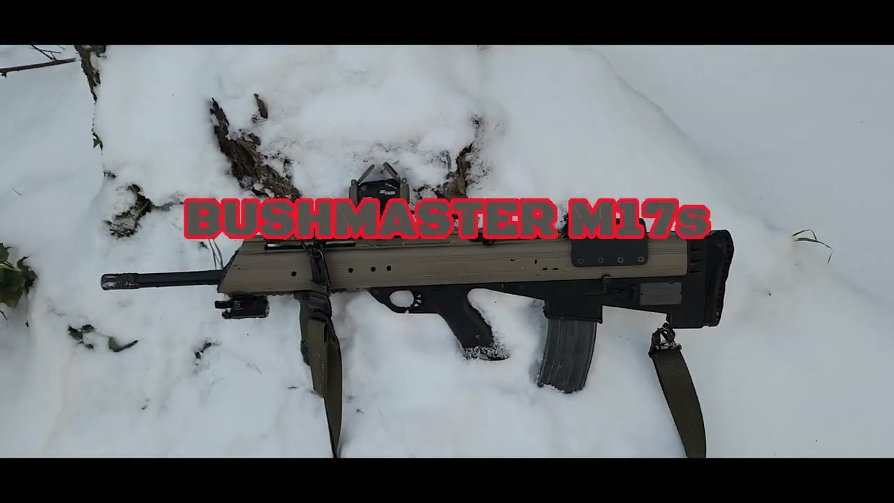 Starship Troopers Real Life Gun: Bushmaster M17 5.56x45mm Bullpup Rifle ...