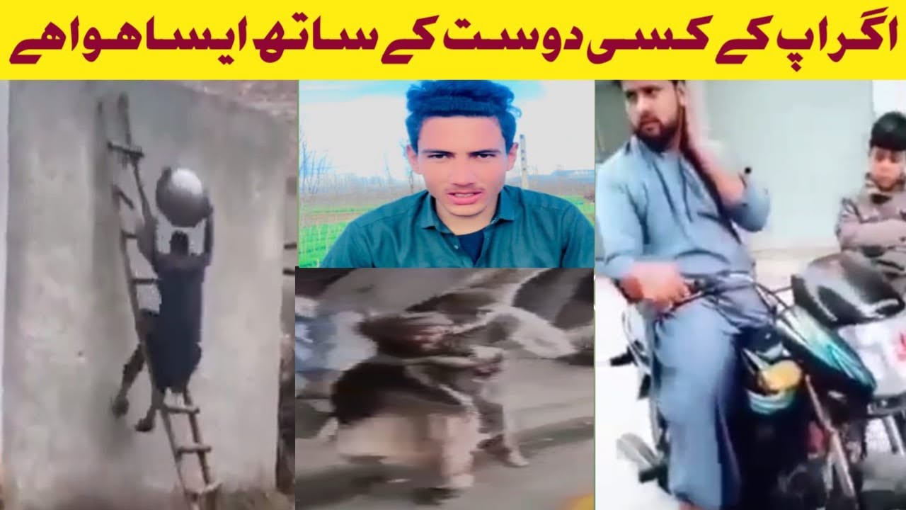 Funny video 🤣#viral #amirarman #poshto #funnyvideo - YouTube