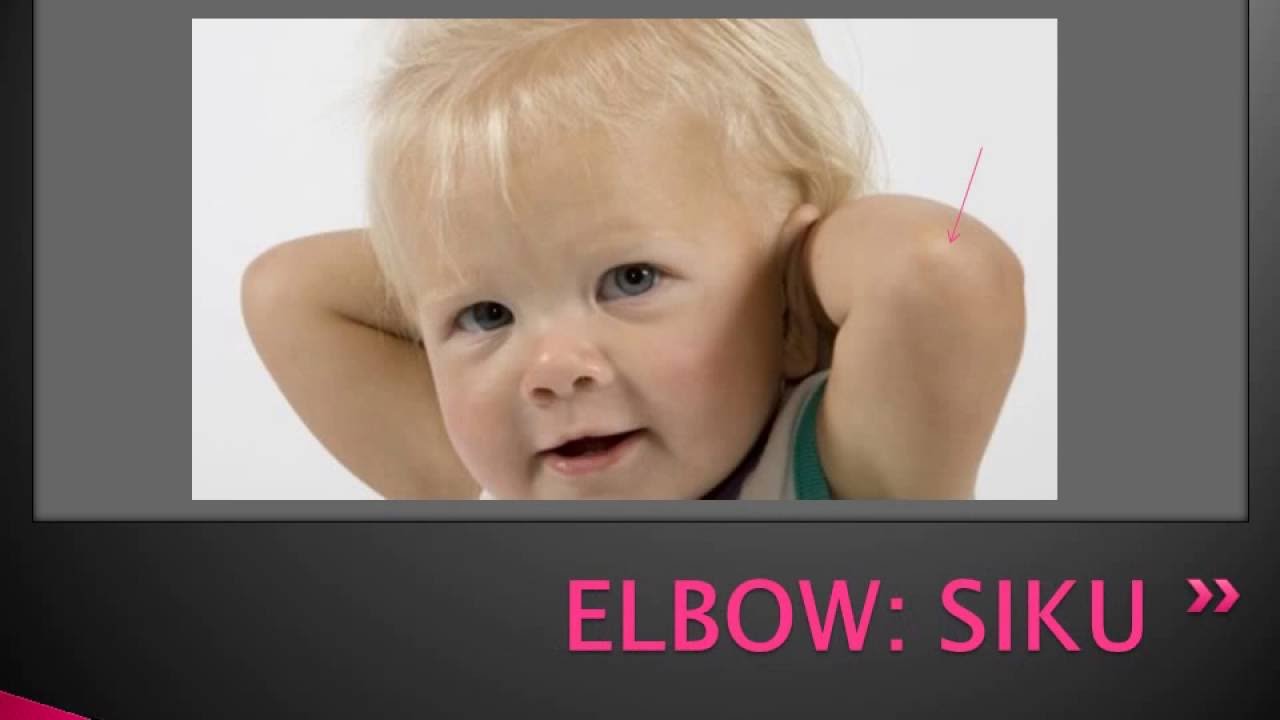 Learn Indonesian: Parts of the body (Vocabulary), belajar Bahasa ...