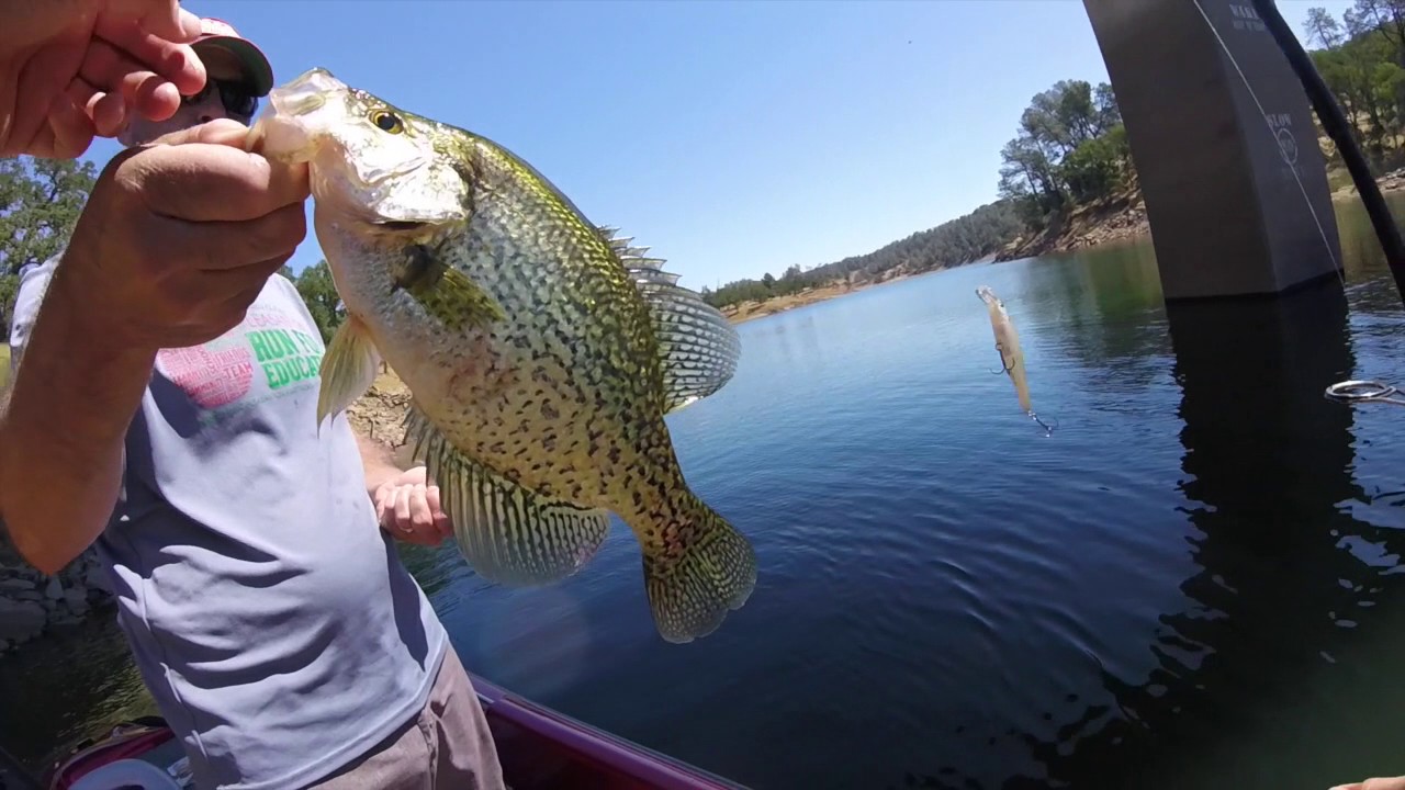 Fishing lake Camanche FT. PB Crappie, 2 fish at once and 6 Pound Trout ...
