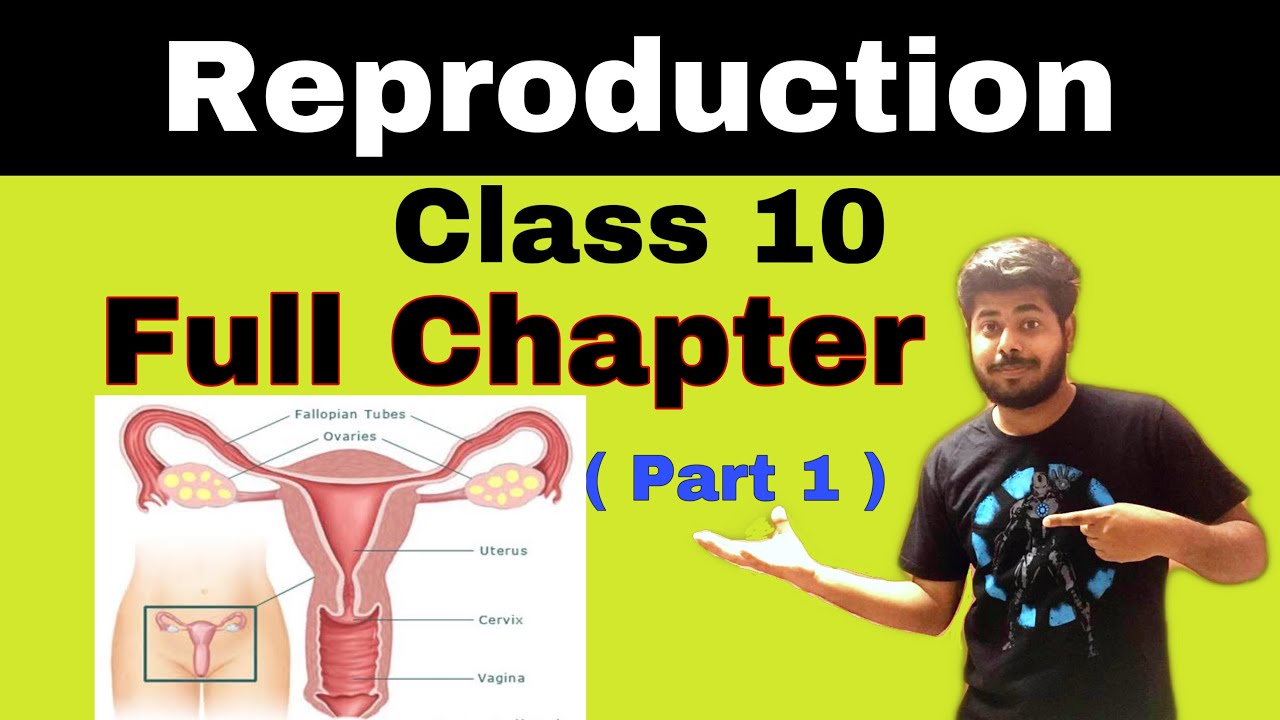 how do organisms reproduce || Class 10 || Part 1 || lakshyam || saurabh ...