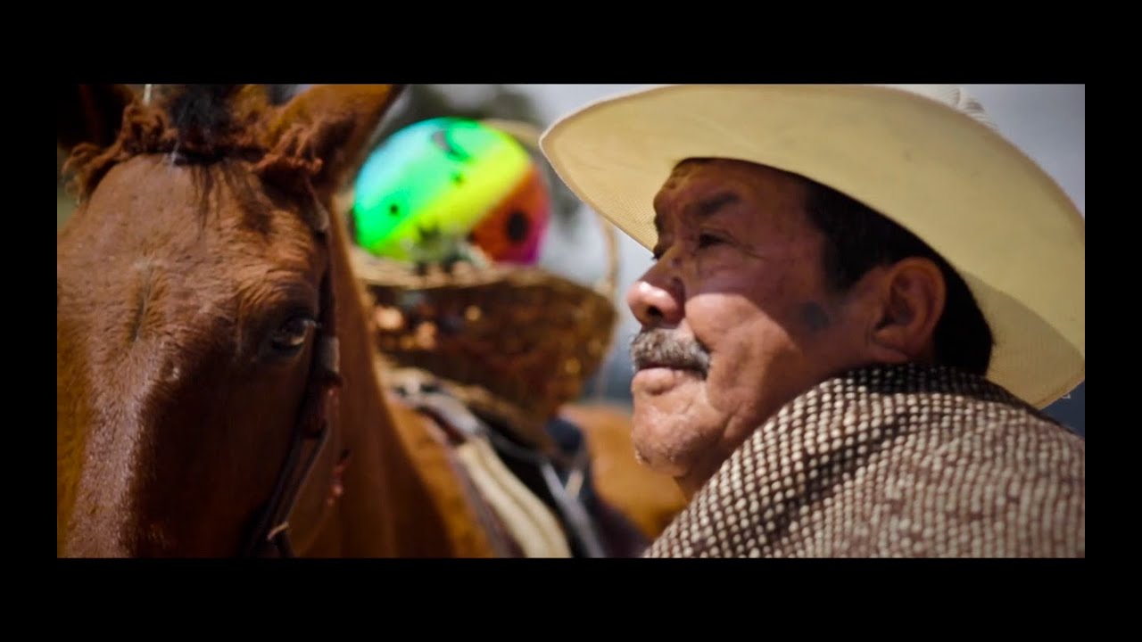 Lion Reggae - Babylon Quiere (Official Music Video) - YouTube