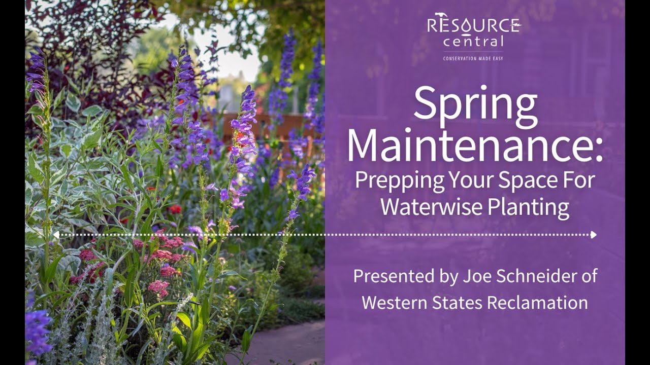 Spring Maintenance: Prepping Your Space For Waterwise Planting - YouTube