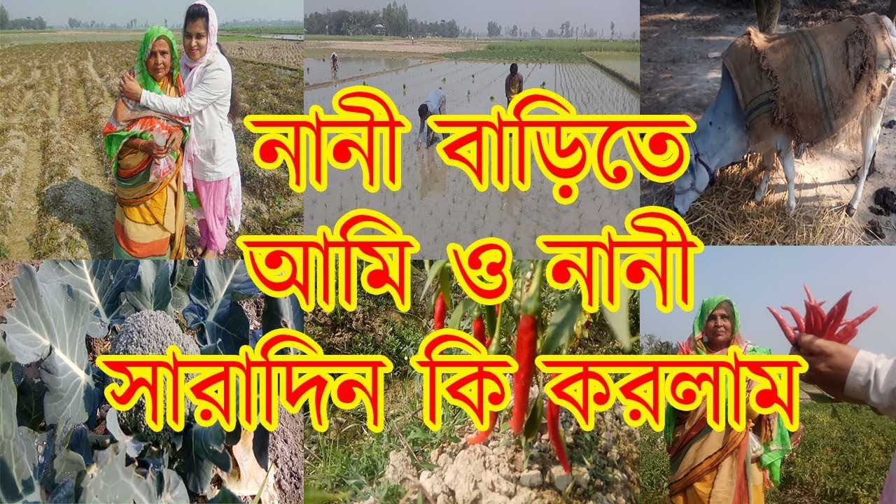 Village life: Beautiful Of Bangladesh | Lifestyle of Village People ...