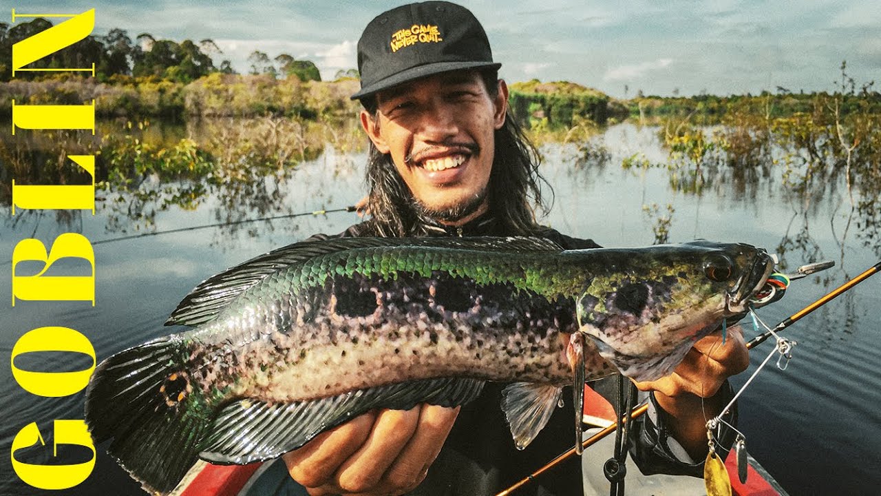 CASTING SNAKEHEAD : KERANDANG AIR PANAS - YouTube