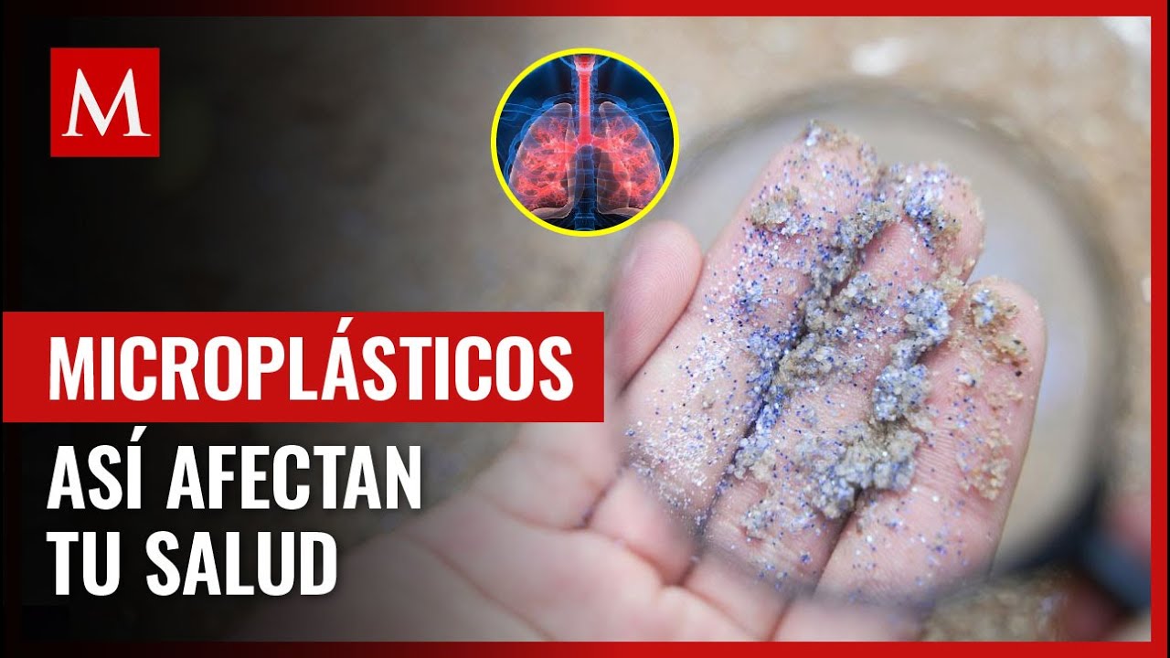Podrías ingerir una gran cantidad de microplásticos sin saberlo; te ...