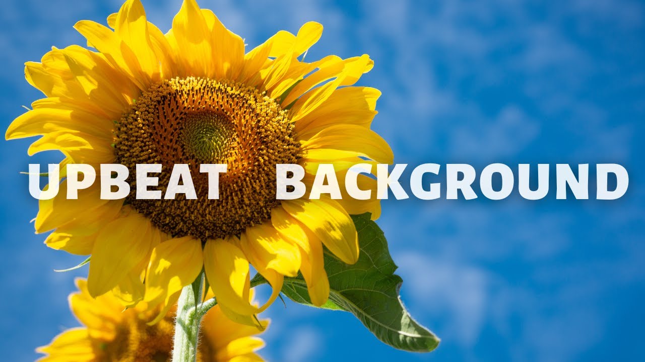 Upbeat Background Downloadable Track Exciting Background Music - YouTube