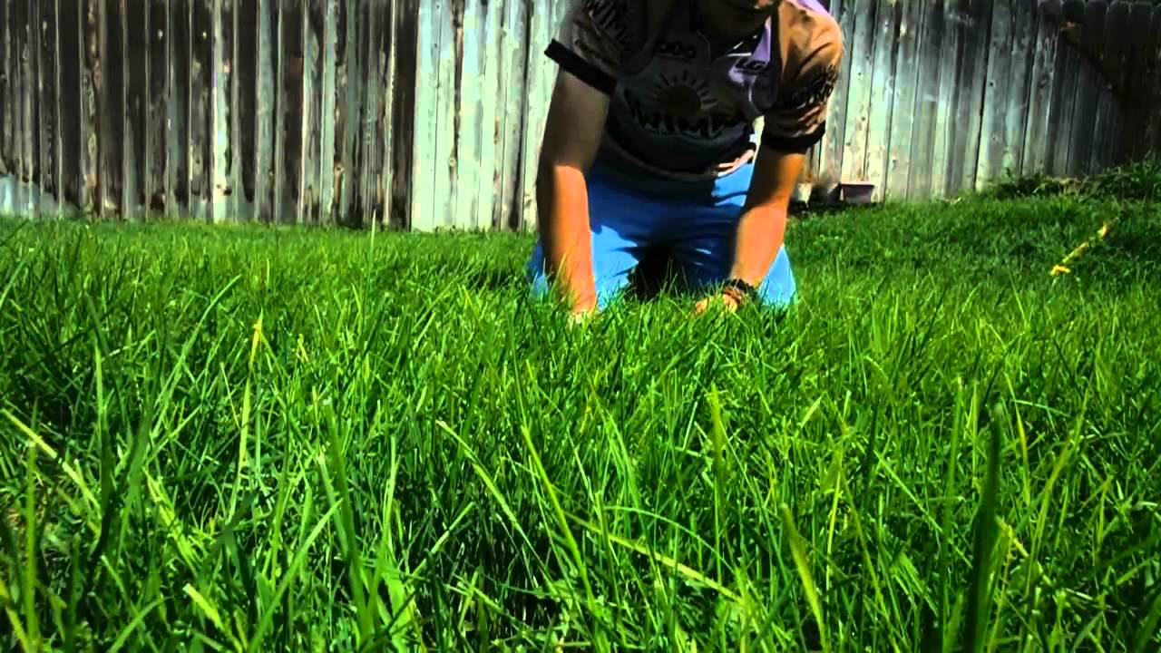 how to survive a fifty foot drop. (parkour TUTORIAL) - YouTube