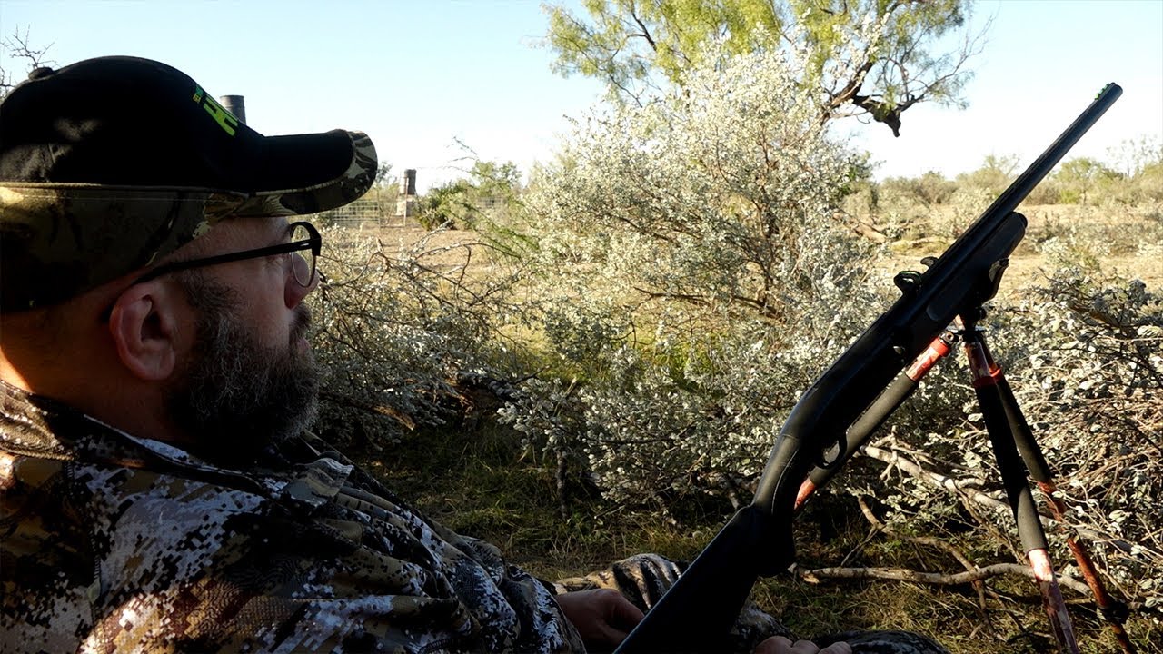 Hunting Whitetail Deer With a 12 Gauge Shotgun - YouTube