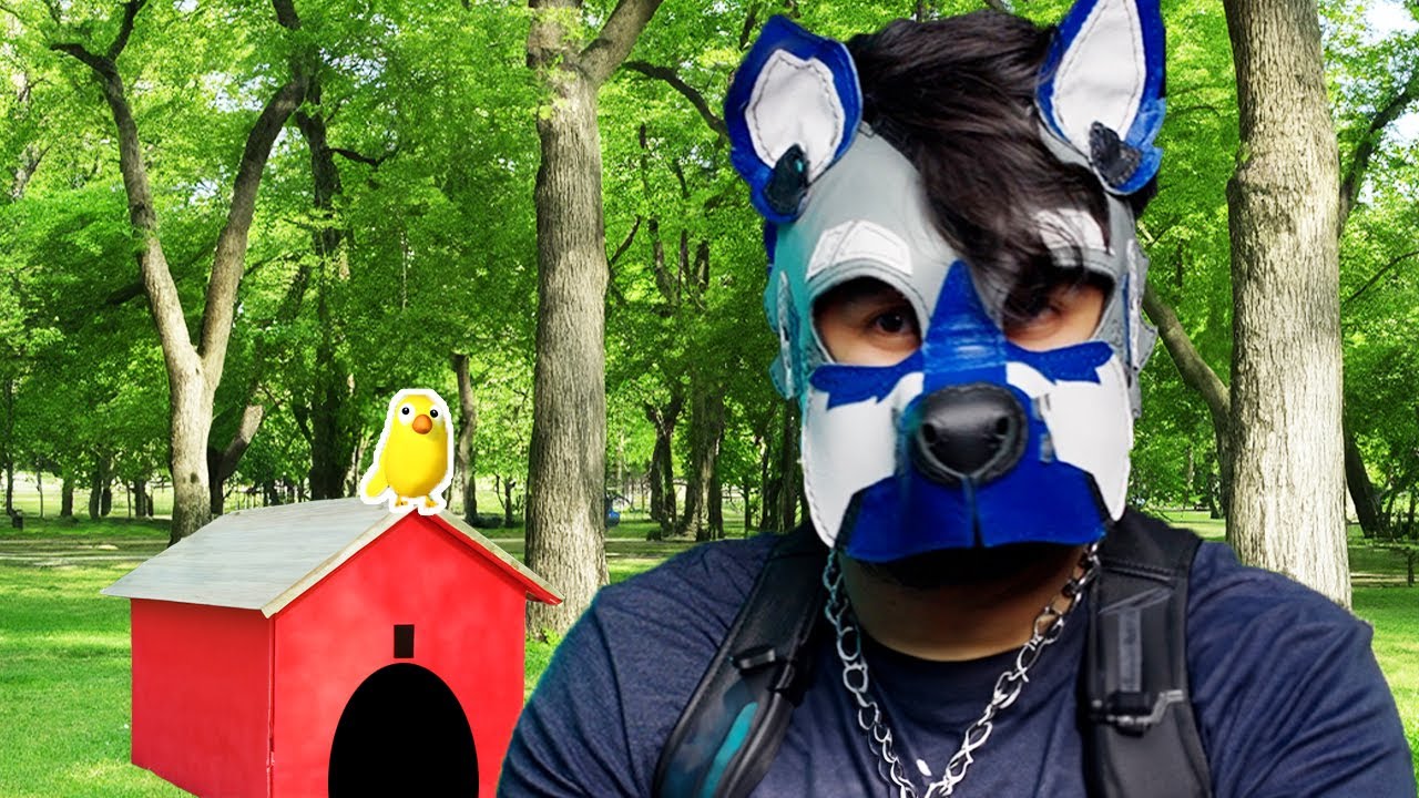 Exploring Life as a Human Pup - YouTube