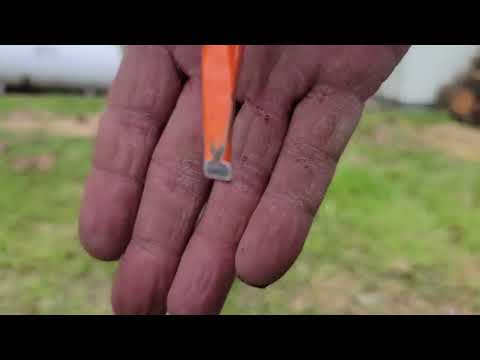 Woodland Pro pulp hook. - YouTube