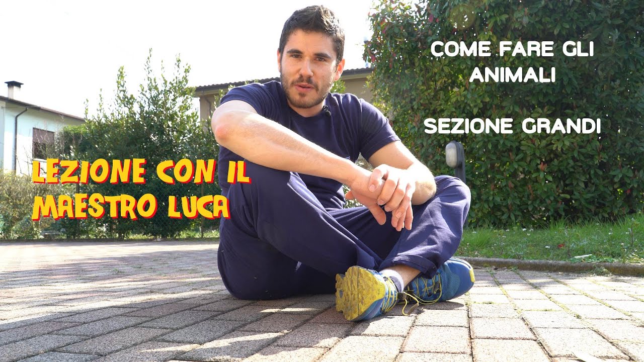 LEZIONE CON IL MAESTRO LUCA | GRANDI - YouTube