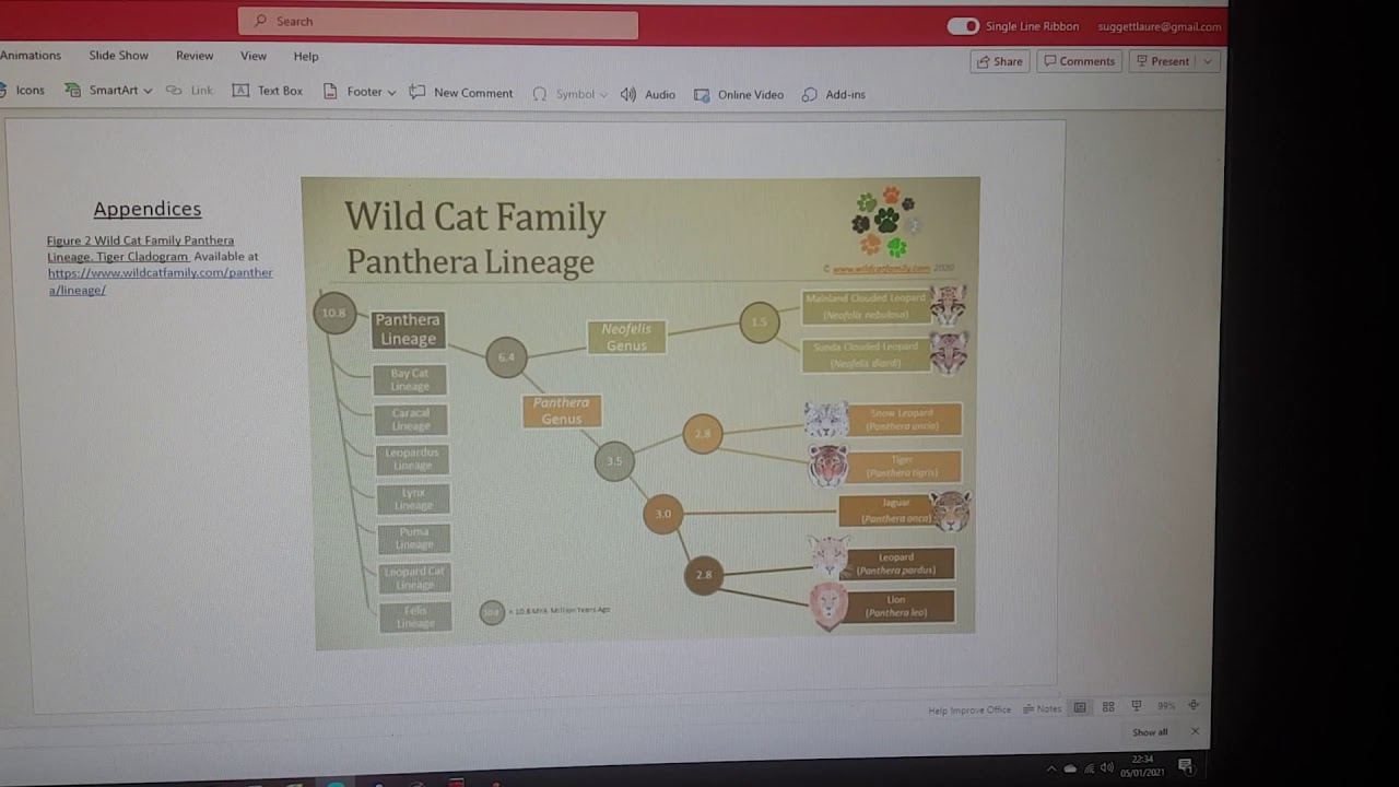 Animal Classification PowerPoint - YouTube