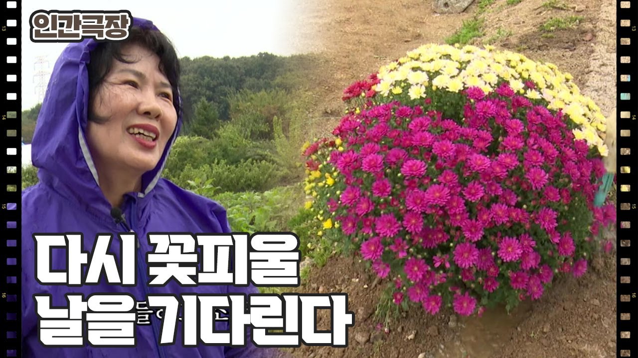 [지효 씨의 두 번째 화양연화] (15/15) [인간극장/Screening Humanity] | KBS 241025 방송 - YouTube