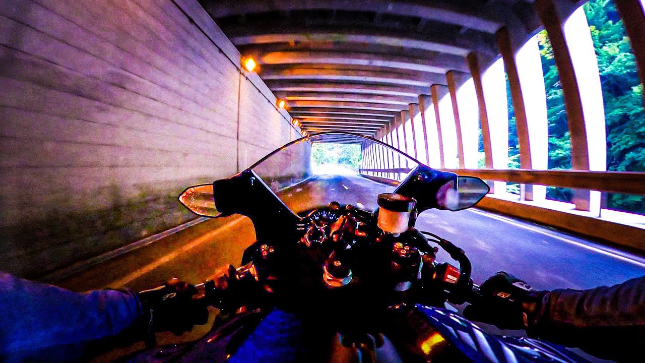Drive to see wild monkeys | YAMAHA R6 |【AKRAPOVIC】 - YouTube