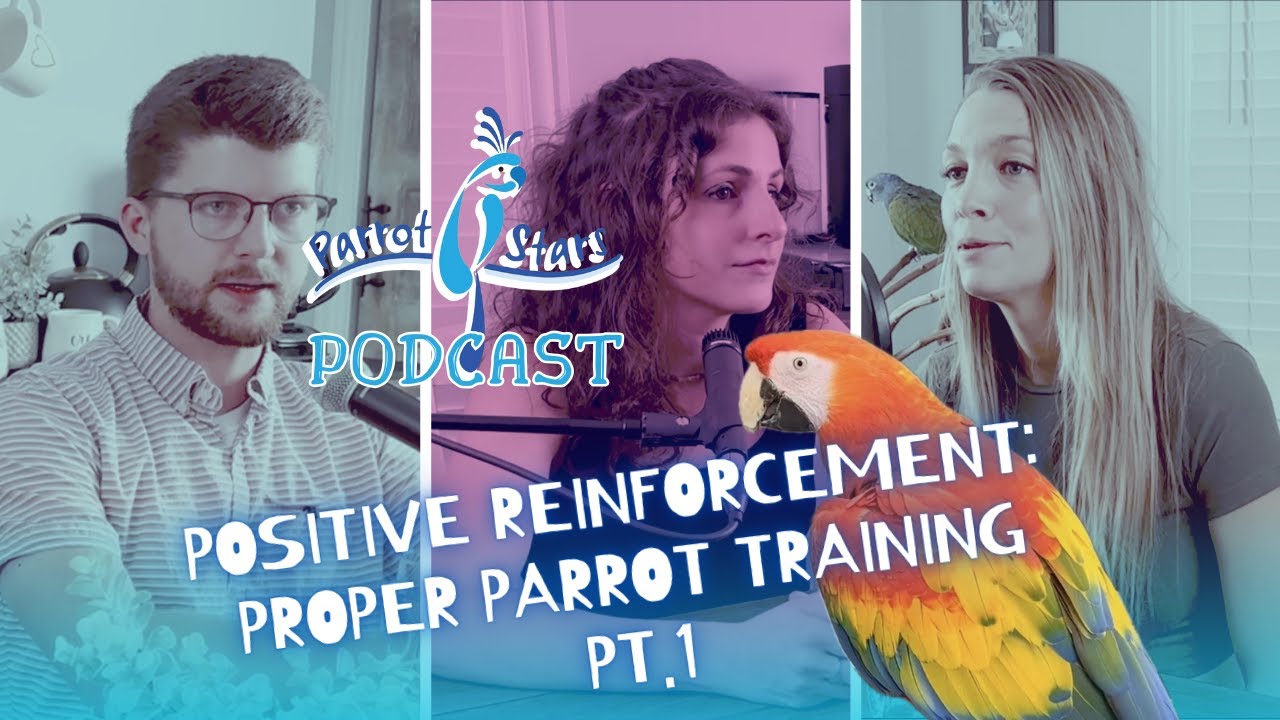 Positive Reinforcement: Proper Parrot Training Pt.1 | S02 E04 | Parrot ...